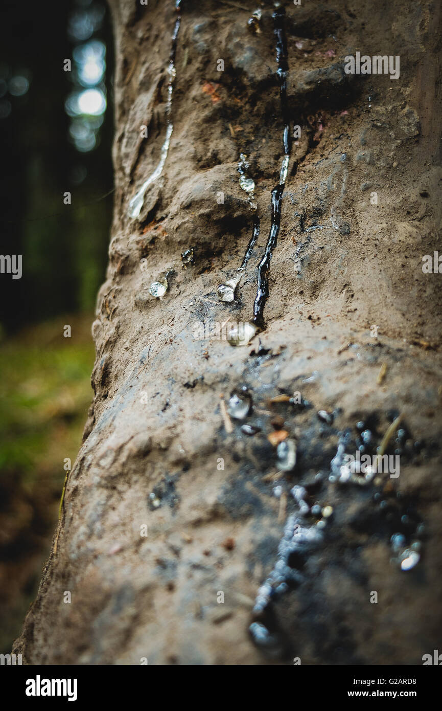 Leaking resin hi-res stock photography and images - Alamy