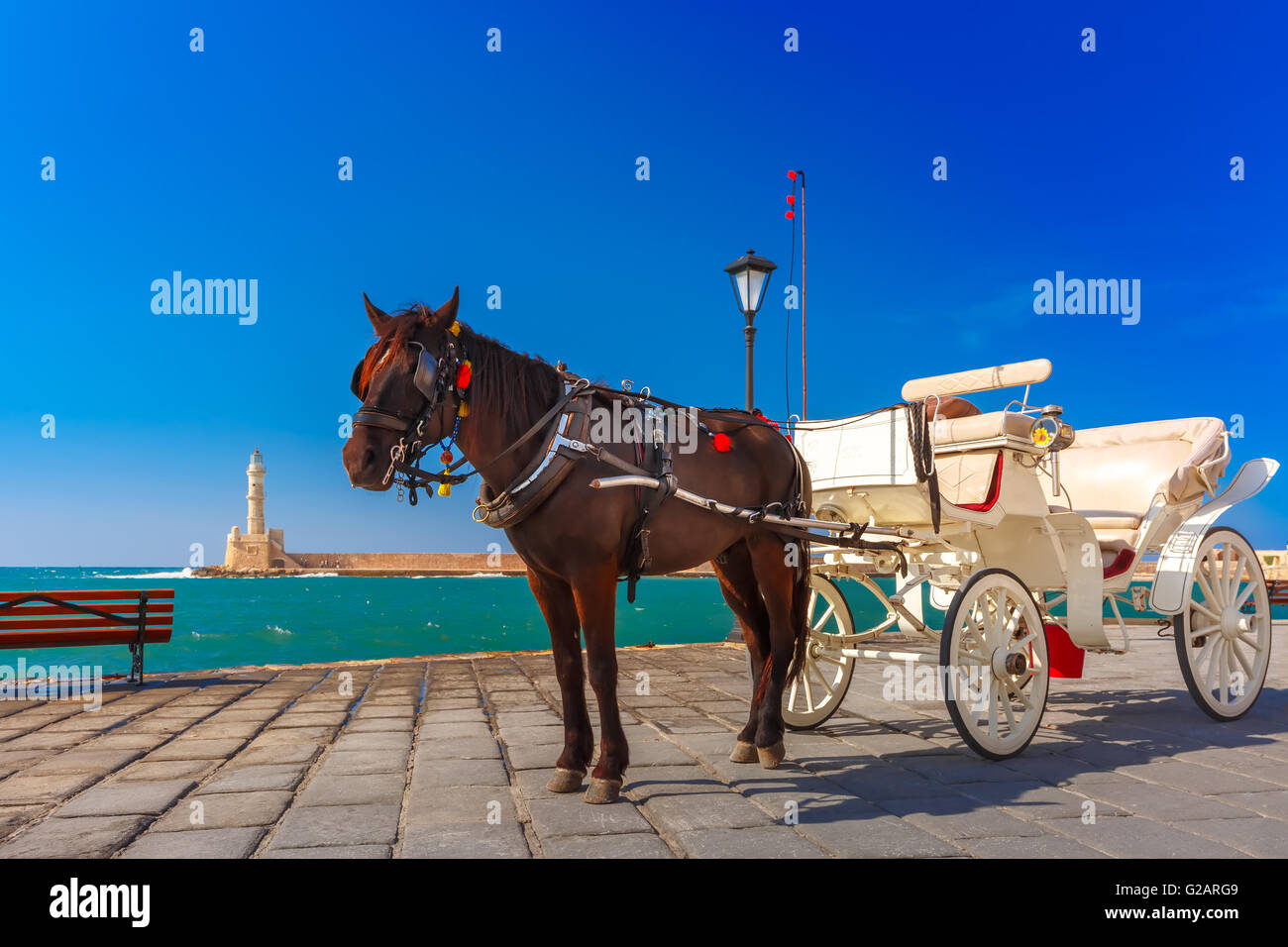 Mammals of crete hi-res stock photography and images - Alamy