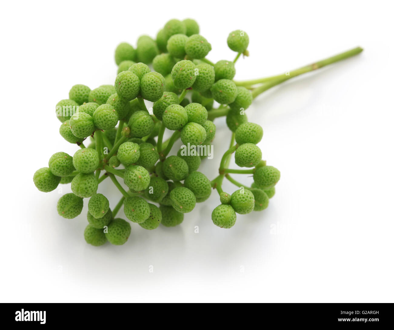 Japanese sansho pepper hi-res stock photography and images - Alamy