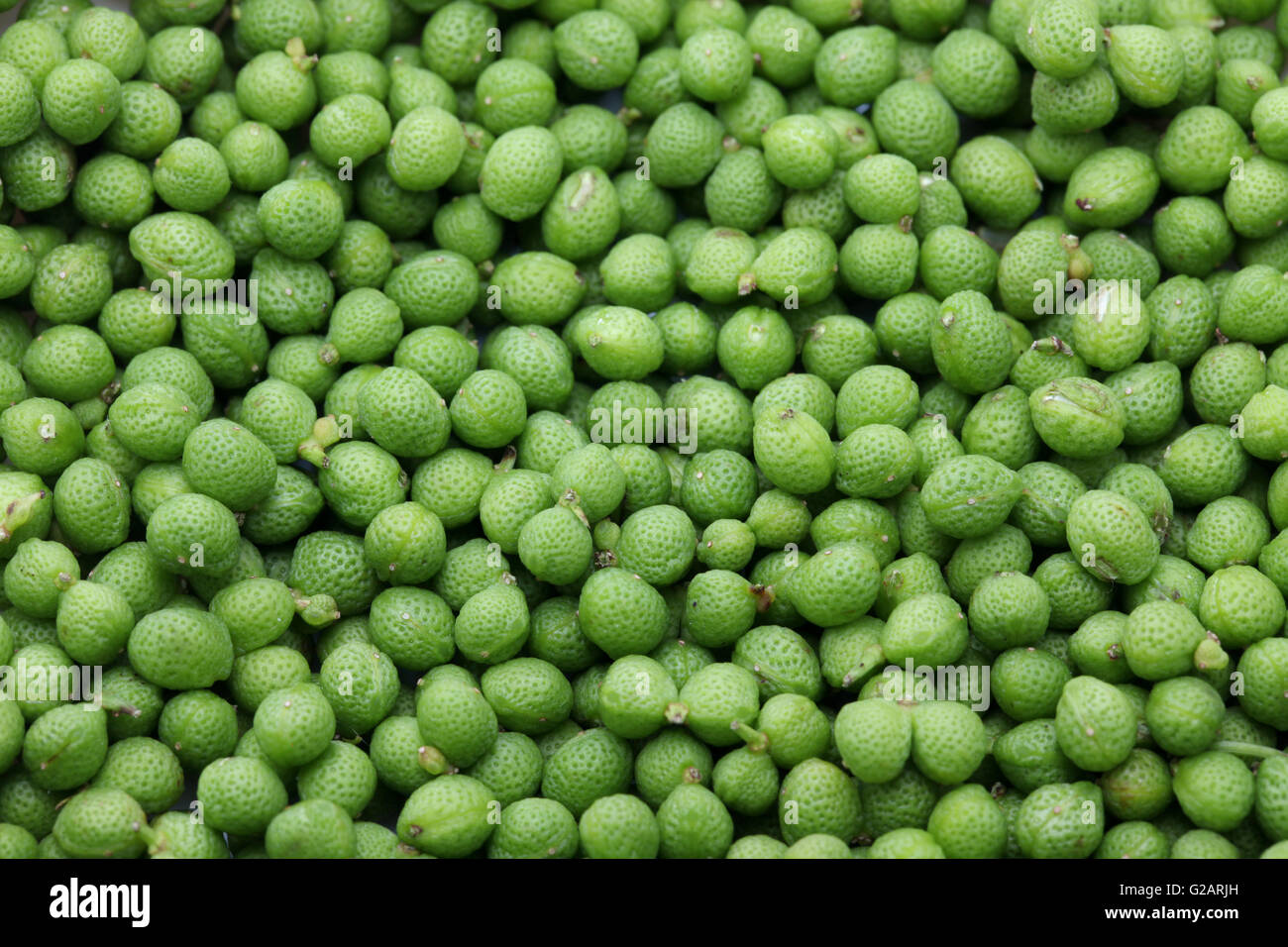 fresh green sansho japanese pepper Stock Photo - Alamy