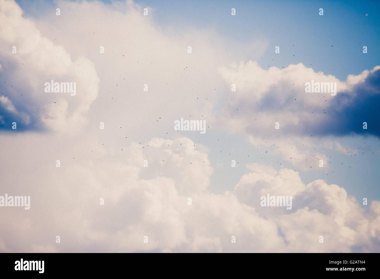 Cloud formation diagram hi-res stock photography and images - Alamy
