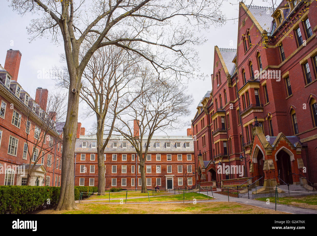 Harvard university campus hi-res stock photography and images - Alamy