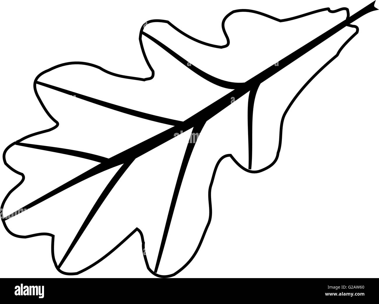 oak,Quercus robur, vector, isolated oak leaf Stock Vector Image & Art ...