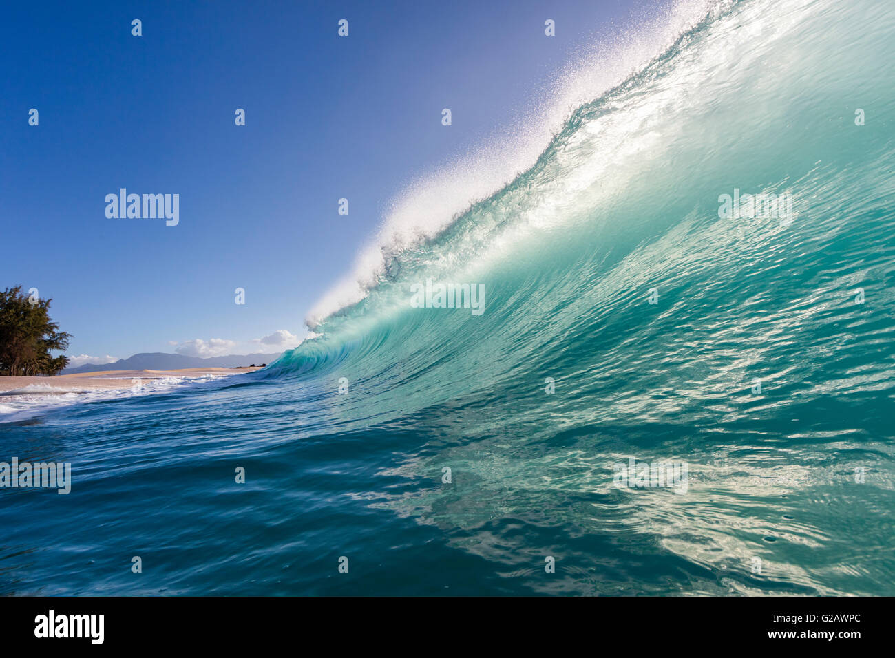 Back lit ocean wave hi-res stock photography and images - Alamy