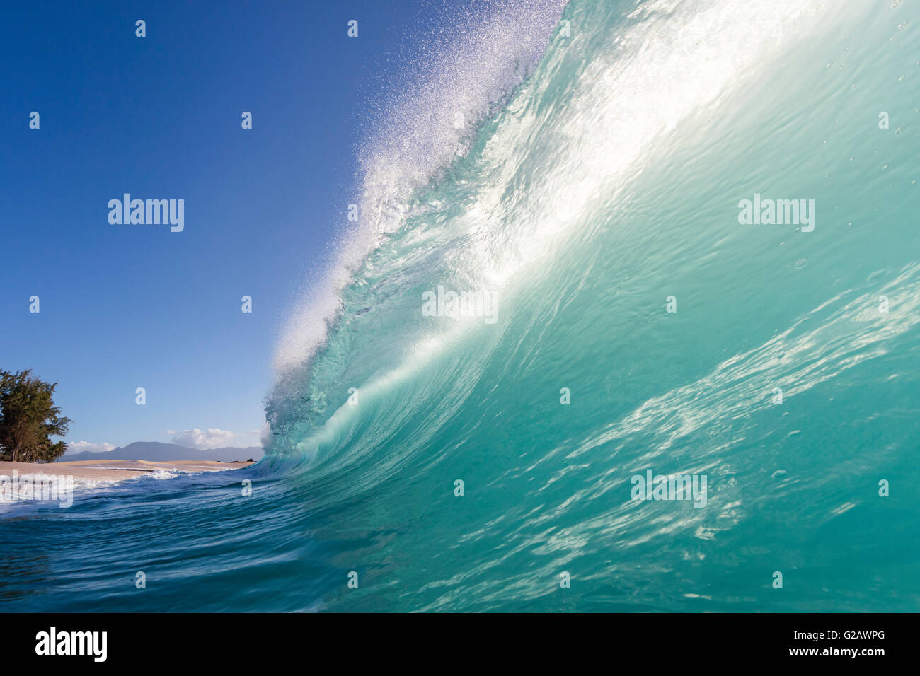 Back lit ocean wave hi-res stock photography and images - Alamy