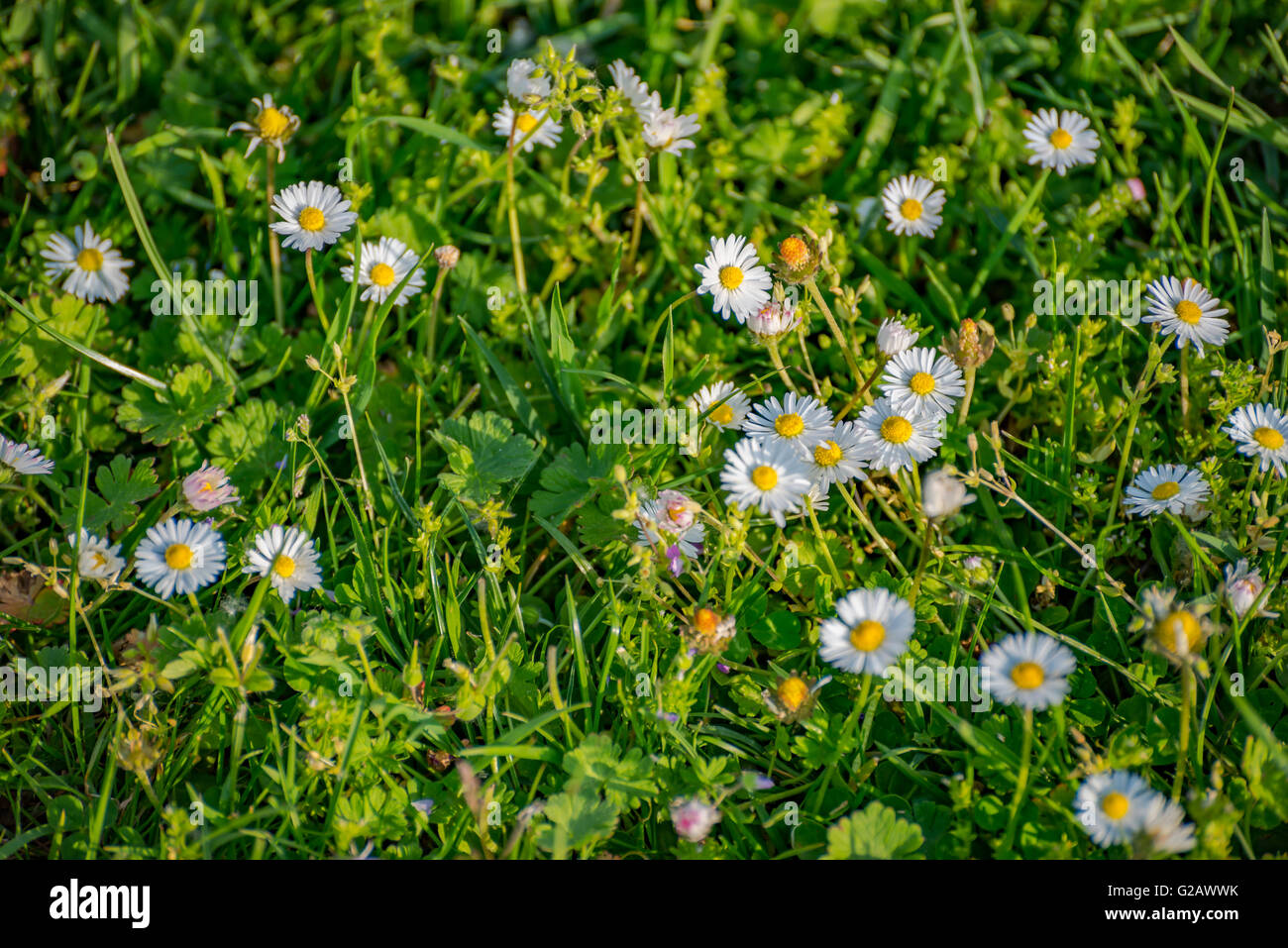 Eden prairie hi-res stock photography and images - Alamy