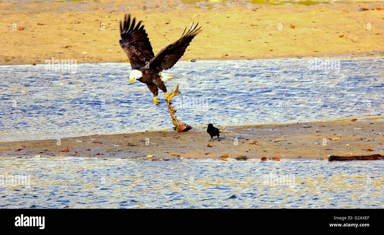 Dragging lake hi-res stock photography and images - Alamy
