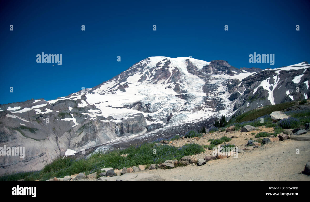 Top of the Mt Rainier in beautiful Summer Stock Photo - Alamy