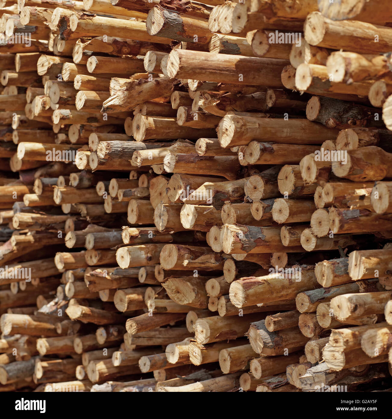 pile of wooden stump as background or texture Stock Photo - Alamy