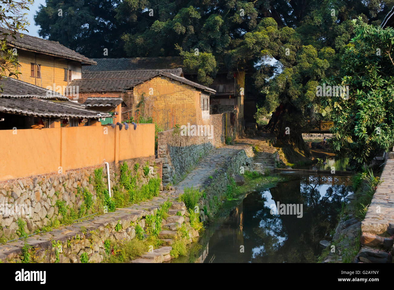 Tree china traditional house hi-res stock photography and images - Alamy