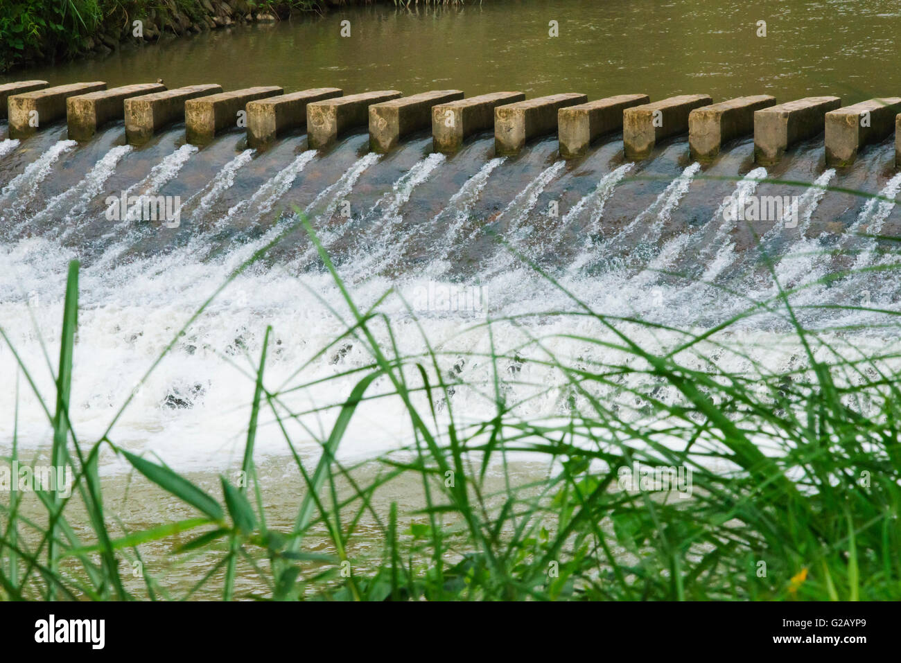Stepping stone bridge hi-res stock photography and images - Alamy