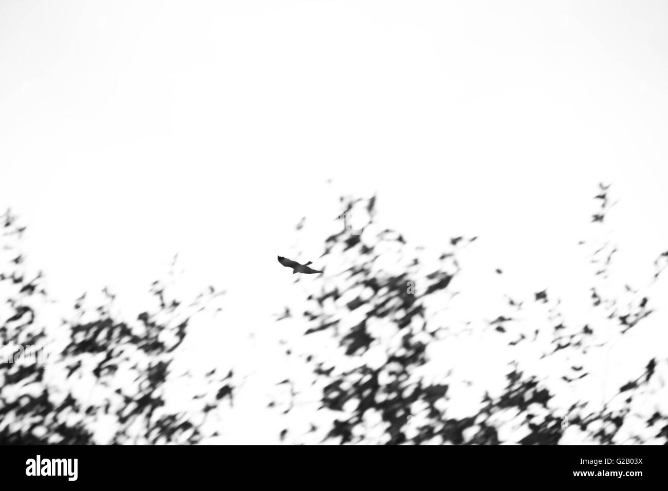 Journy hi-res stock photography and images - Alamy