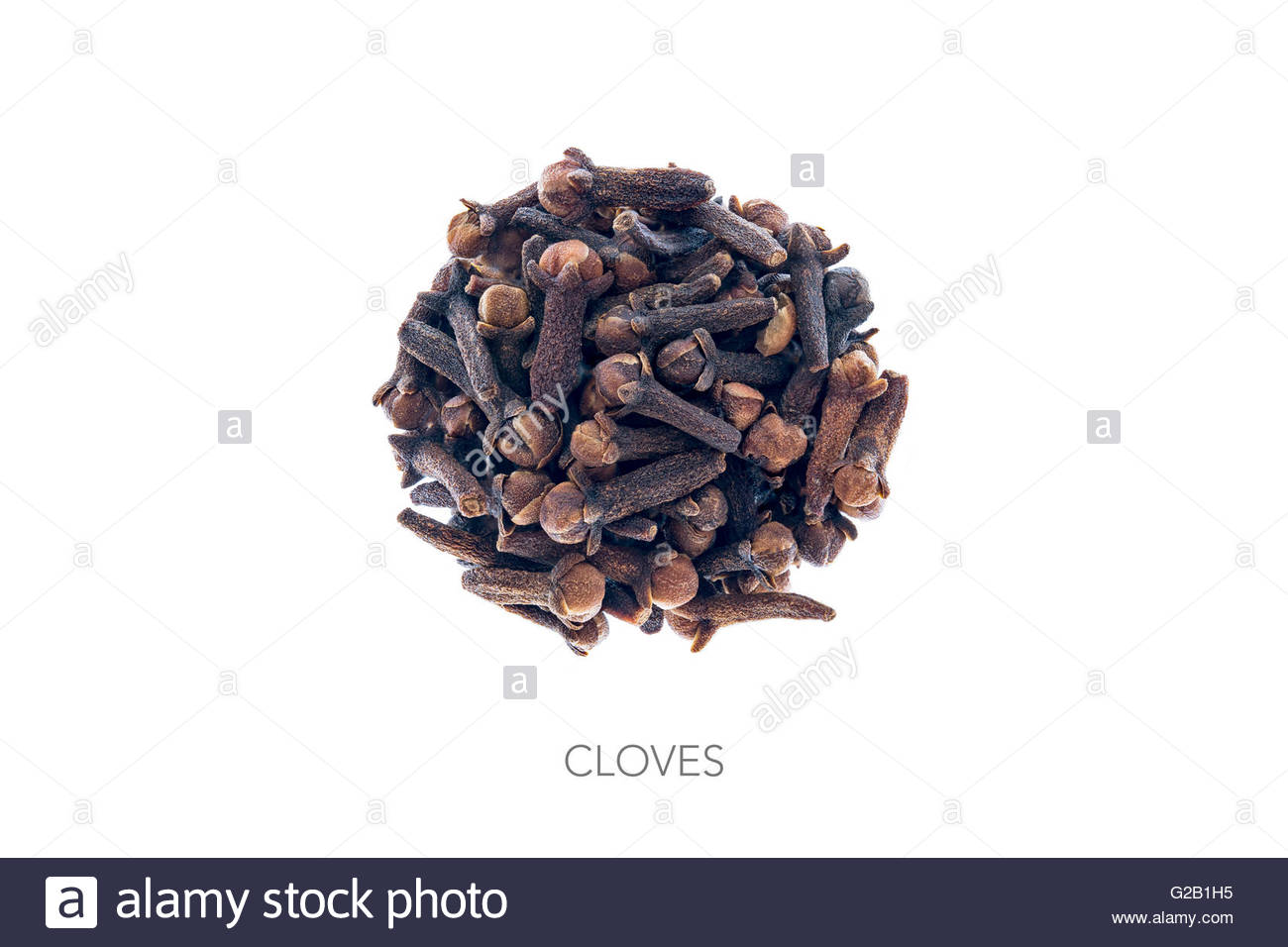 Round Buds High Resolution Stock Photography and Images - Alamy