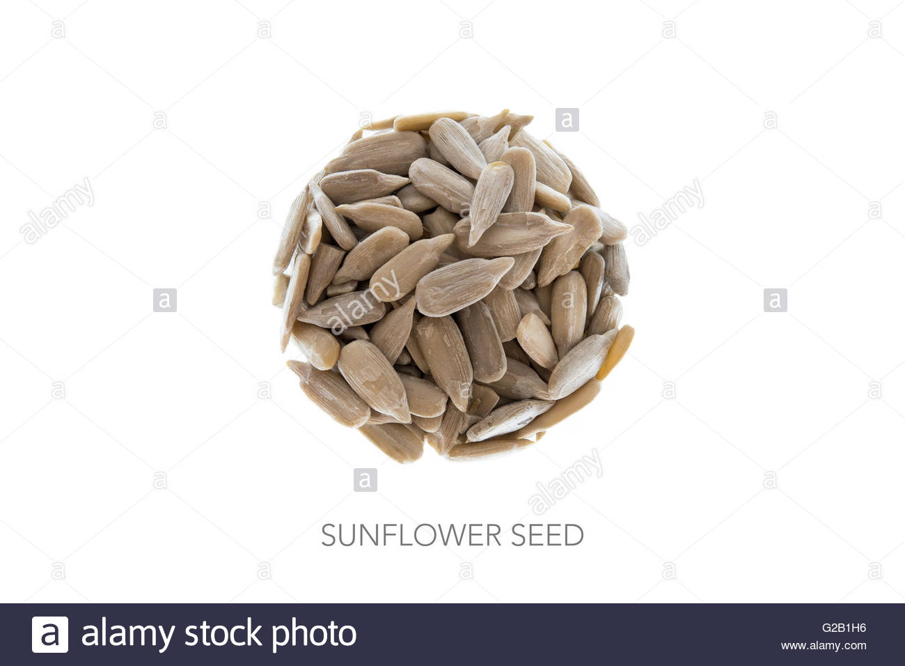 Small Round Seeds Stock Photos & Small Round Seeds Stock Images - Alamy