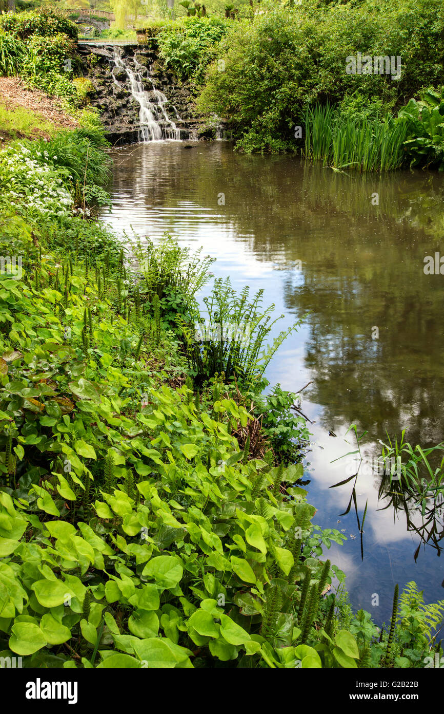 Beautiful Summer landscape image of stream flowing over rocks in ...