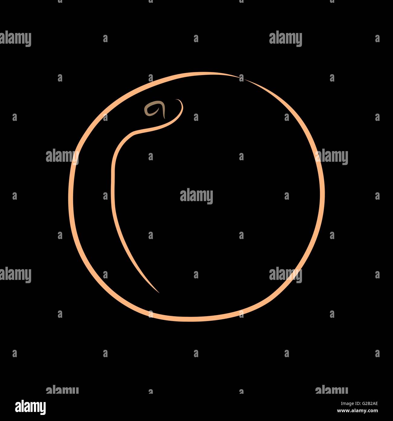 Colored outline of peach, vector illustration Stock Vector Image & Art ...