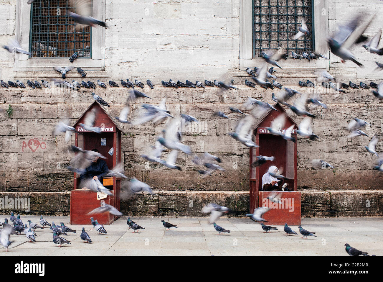 Pigeons gather outside Yeni Camii, the mosque at Eminonu, in Istanbul ...