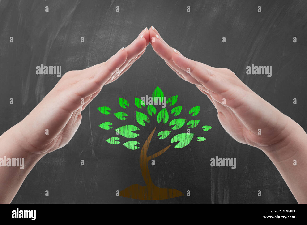 Hand protecting tree draw on blackboard or school chalkboard as nature ...