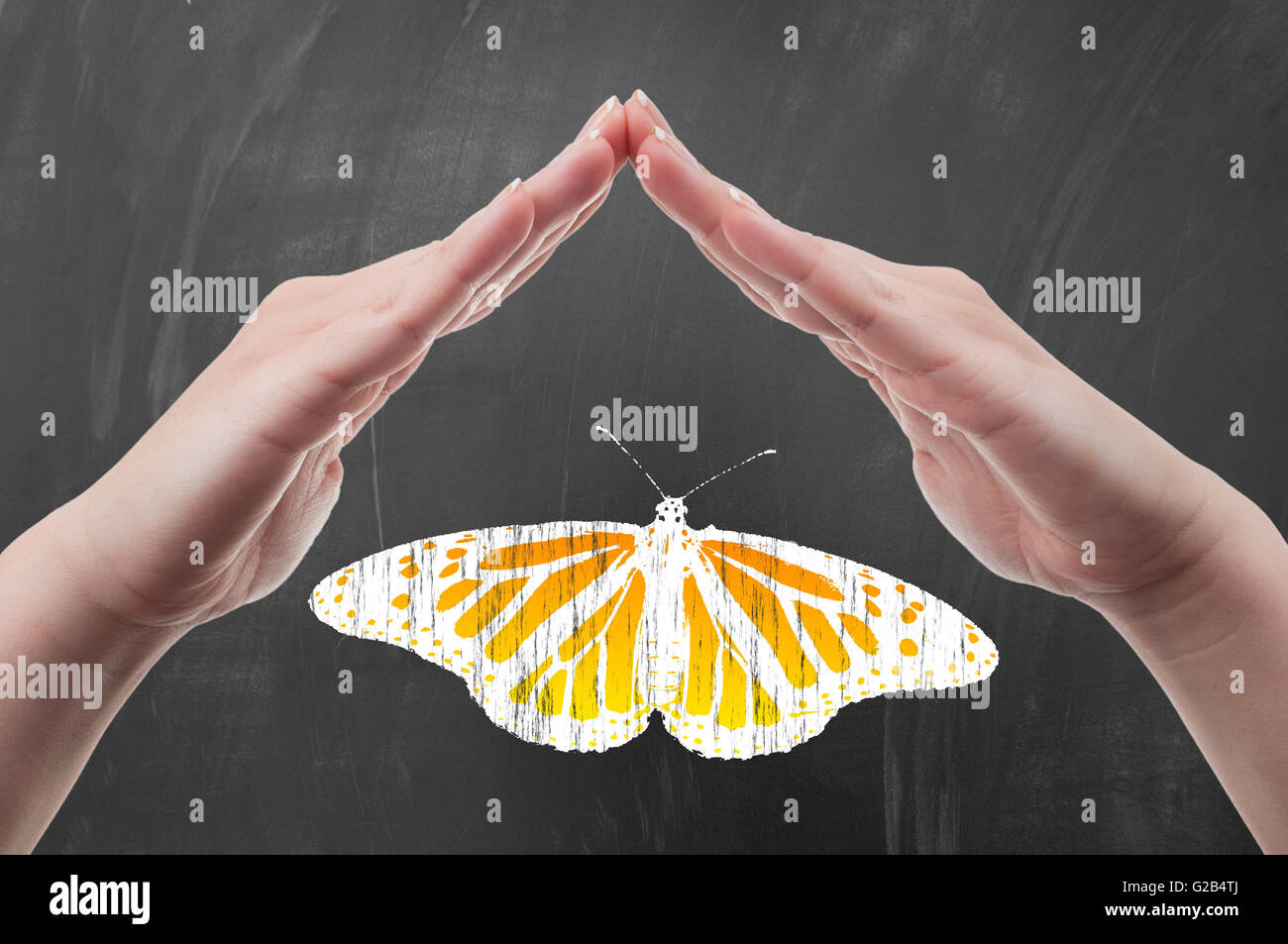 Butterfly shape with hands hi-res stock photography and images - Alamy