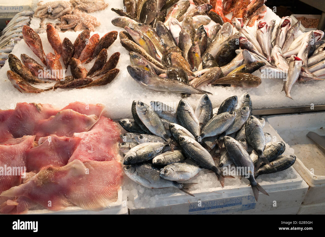 Greek seafood hi-res stock photography and images - Alamy