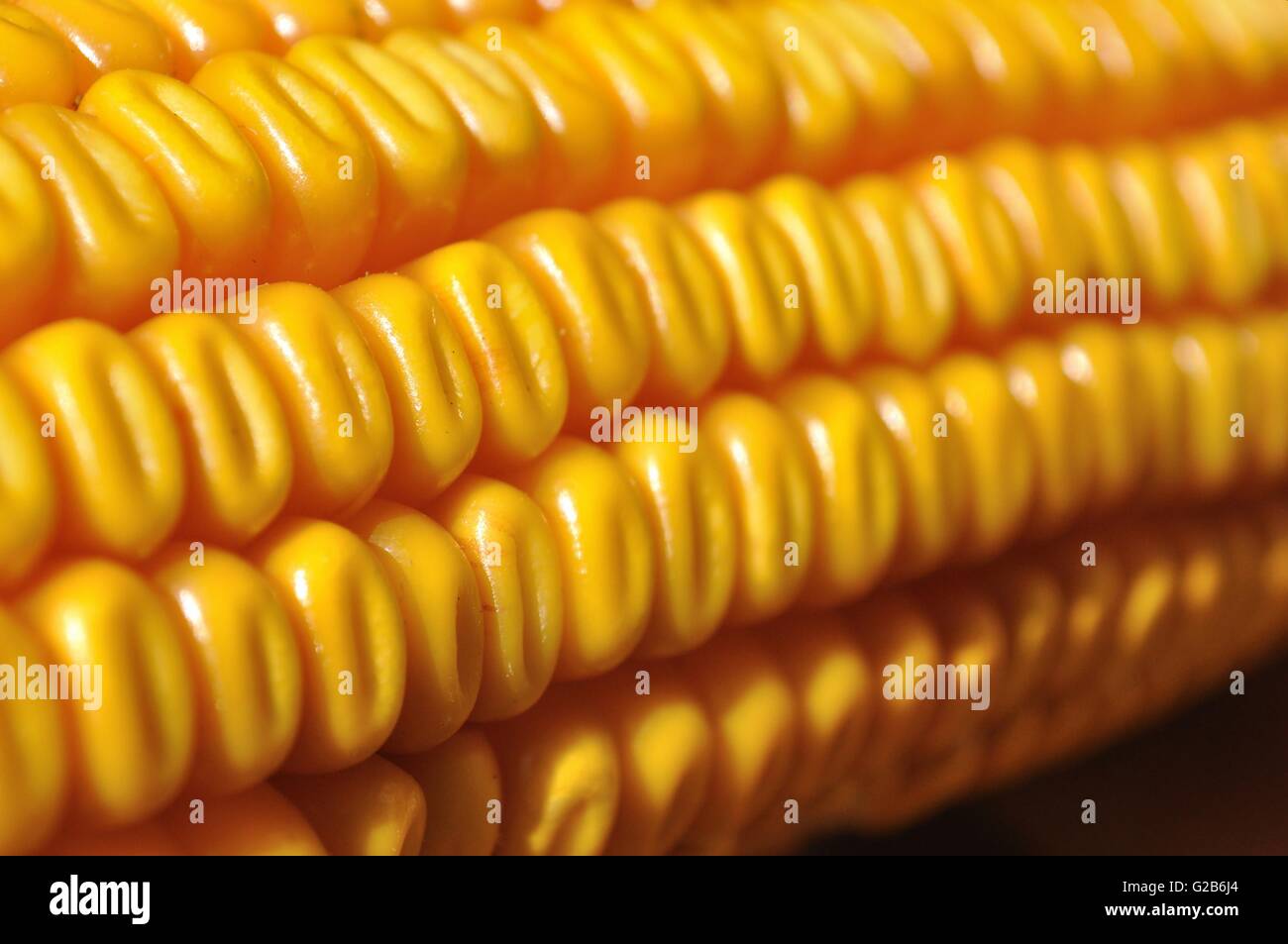 Detail shot of yellow corn kernels for background Stock Photo - Alamy