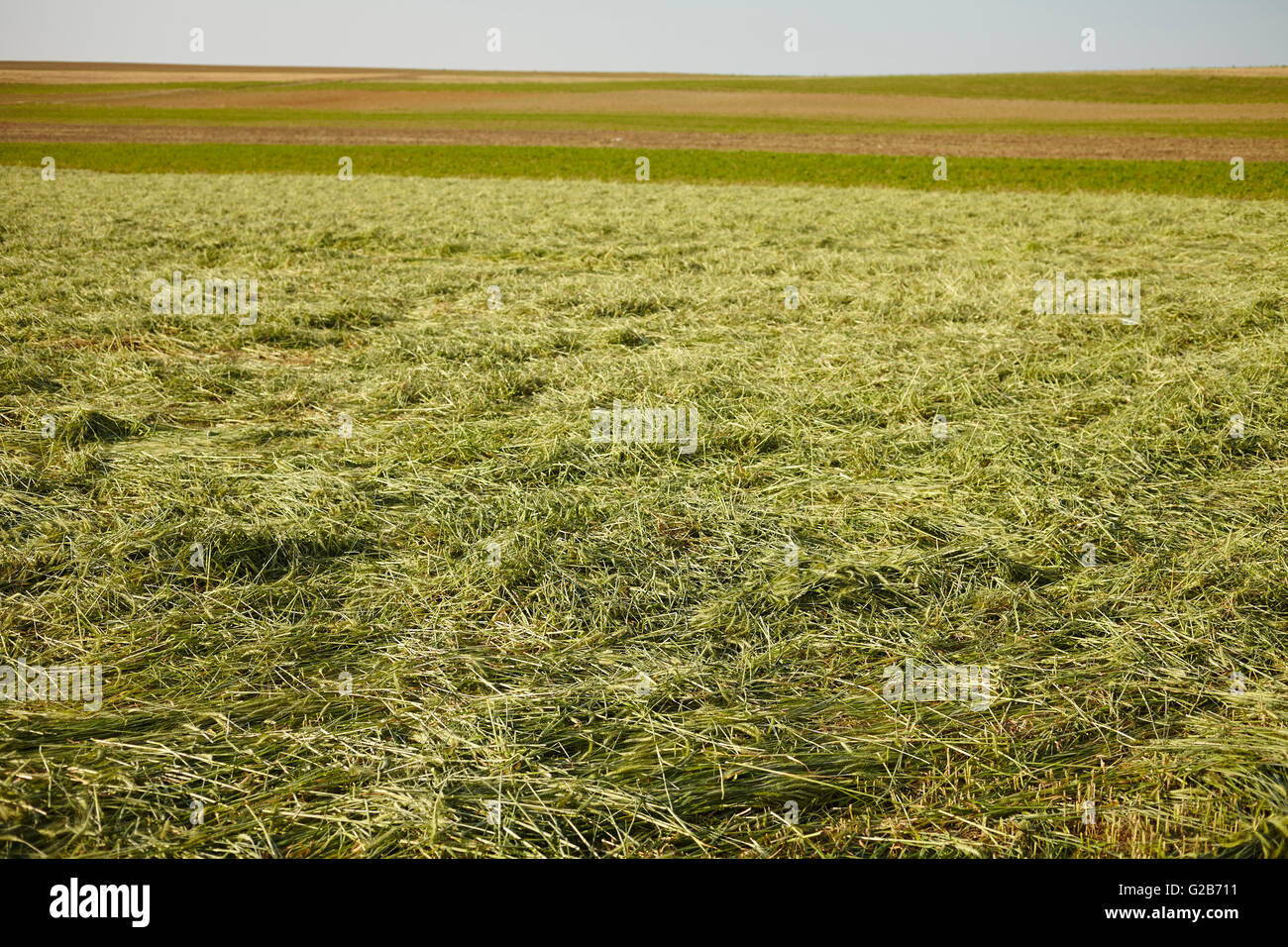 Pennsylvania in spring hi-res stock photography and images - Alamy