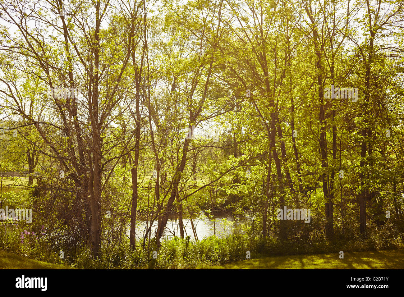 Lancaster County Park and Mill Creek in Spring, Pennsylvania, USA Stock ...