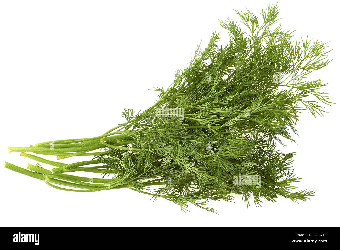 Bunch of dill on white Stock Photo - Alamy