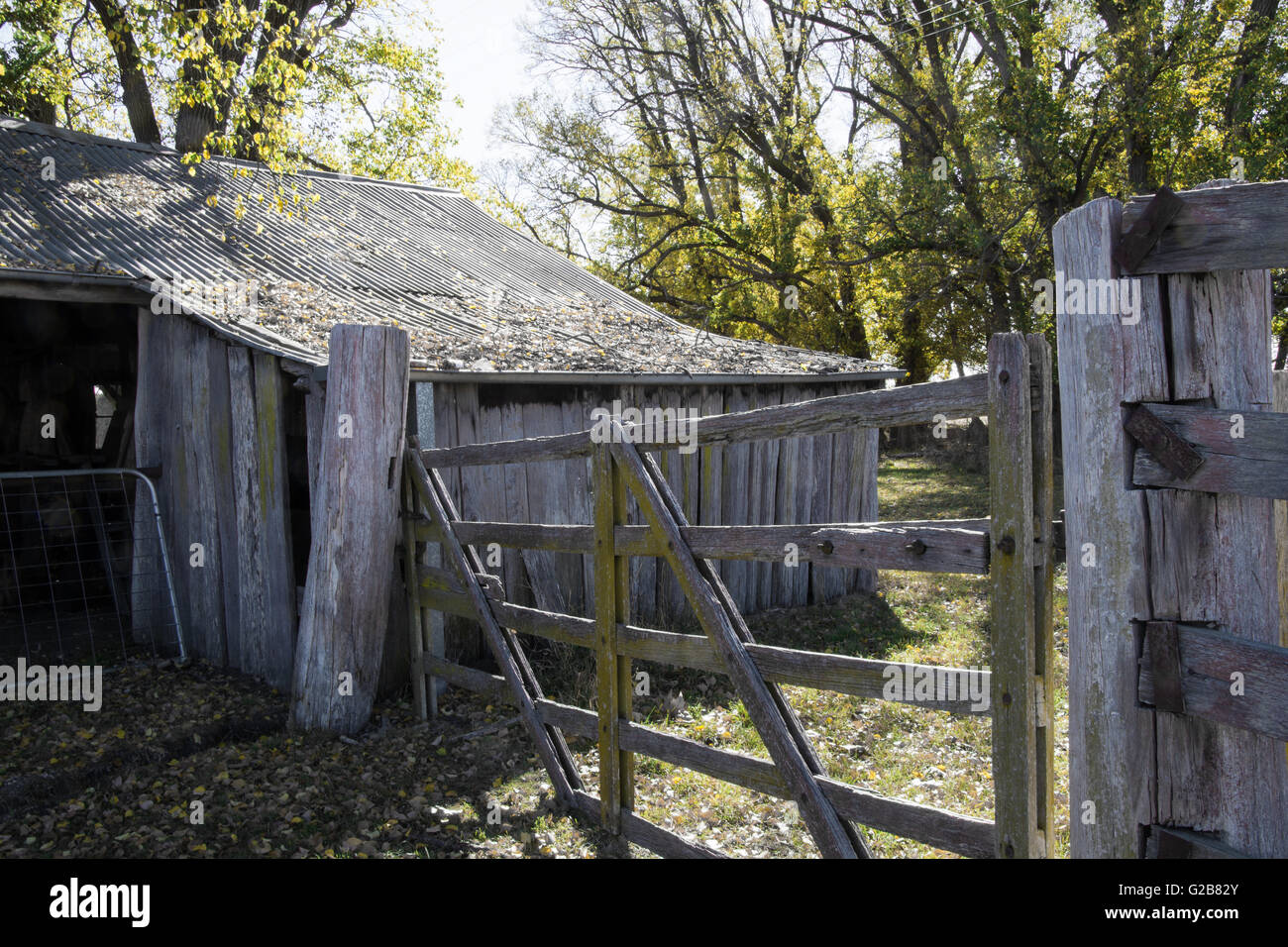 Rustic wooden gate and lean to building at Saumarez, a National Trust ...