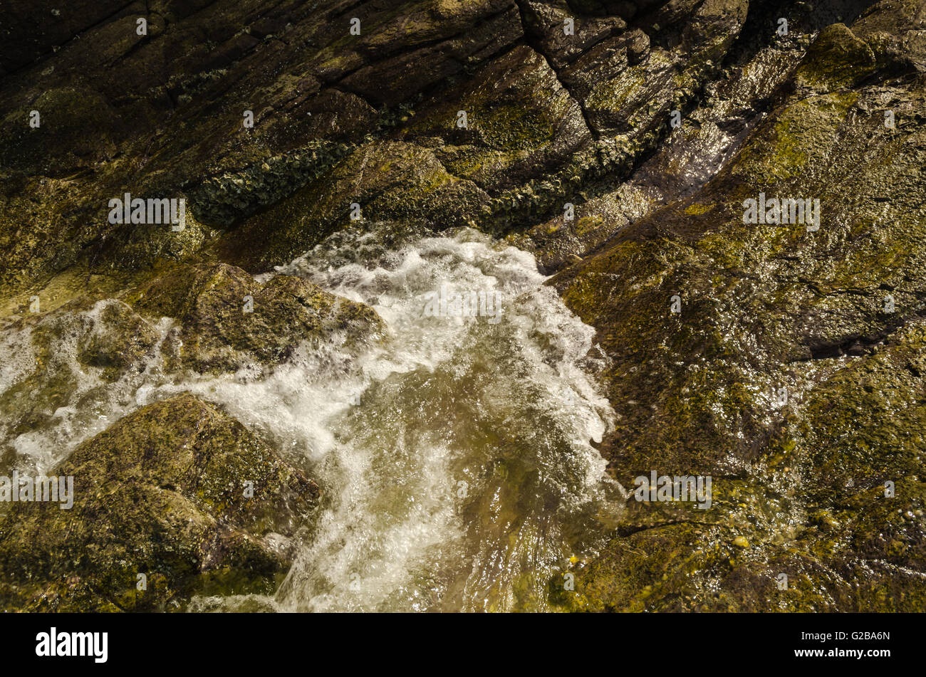 Fossil shell embedded in stone hi-res stock photography and images - Alamy
