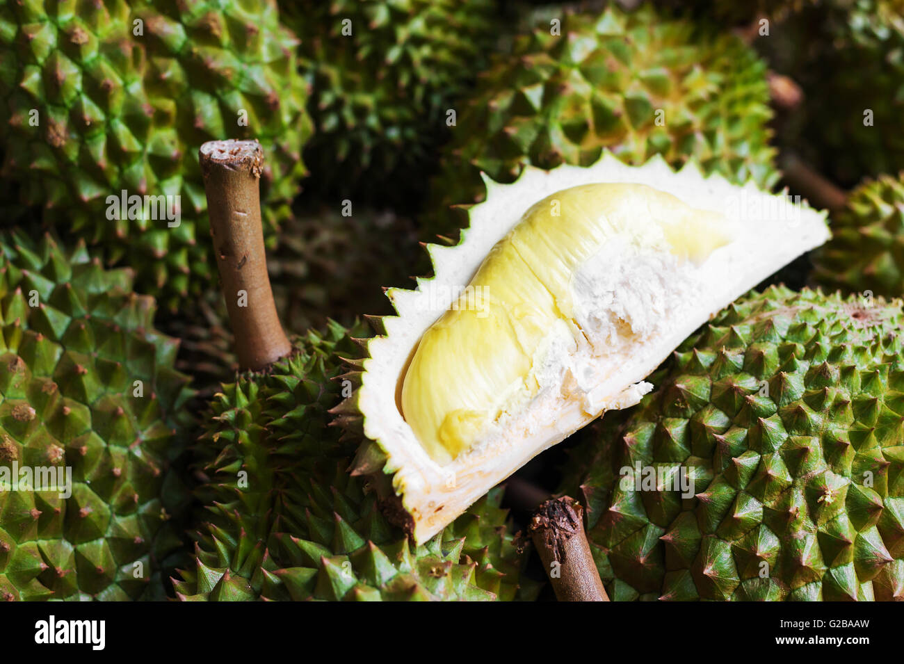 An Durian nature fruit in southeast asia Stock Photo - Alamy