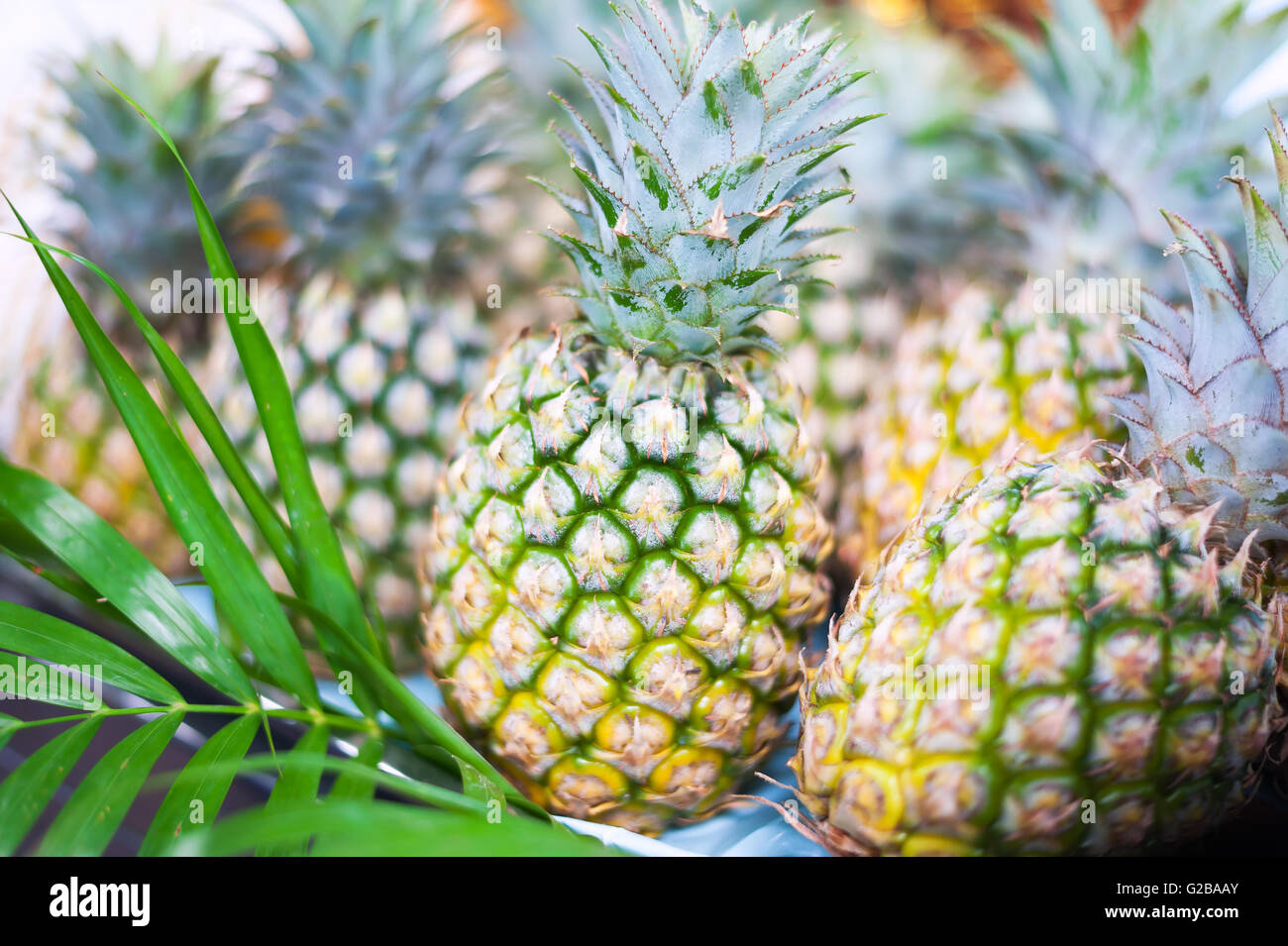 An pineapple is nature fruit in soft light Stock Photo - Alamy