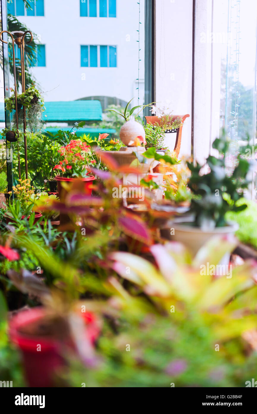 An Small place garden in soft light Stock Photo - Alamy