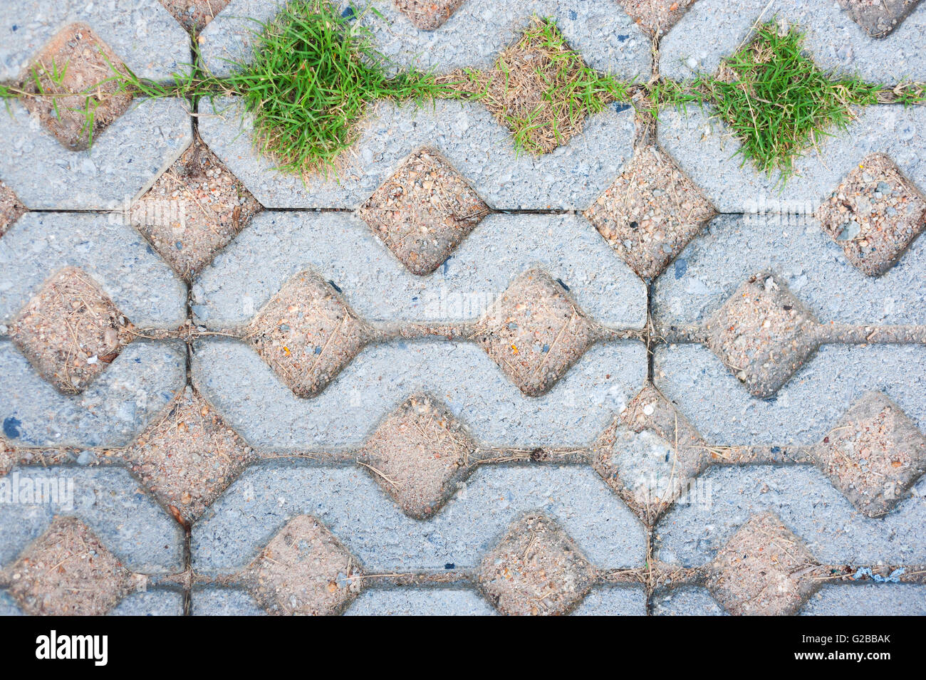 An Small green grass pattern ground Stock Photo - Alamy