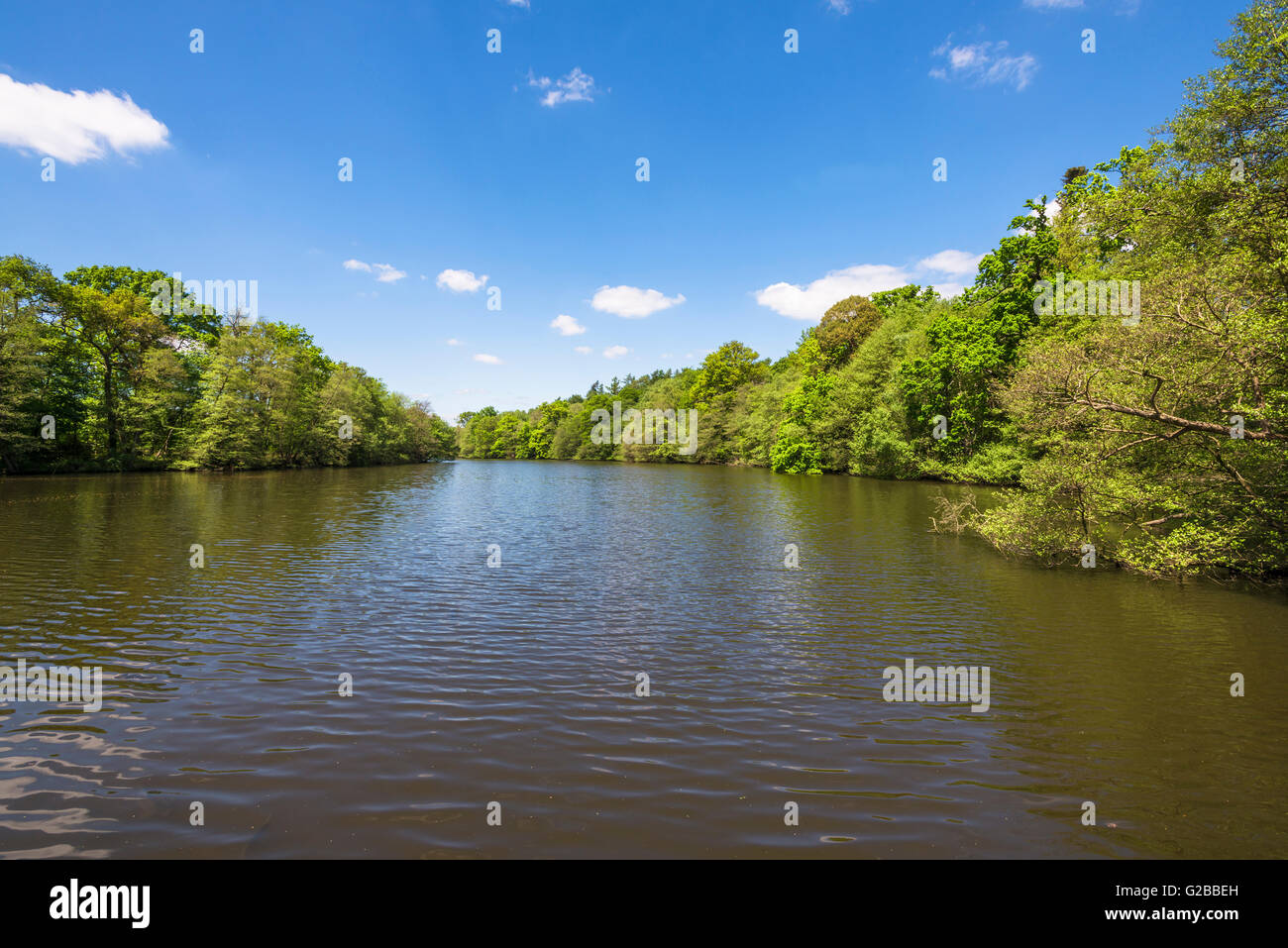 A lake in Virginia Water Park in Surrey, UK Stock Photo - Alamy