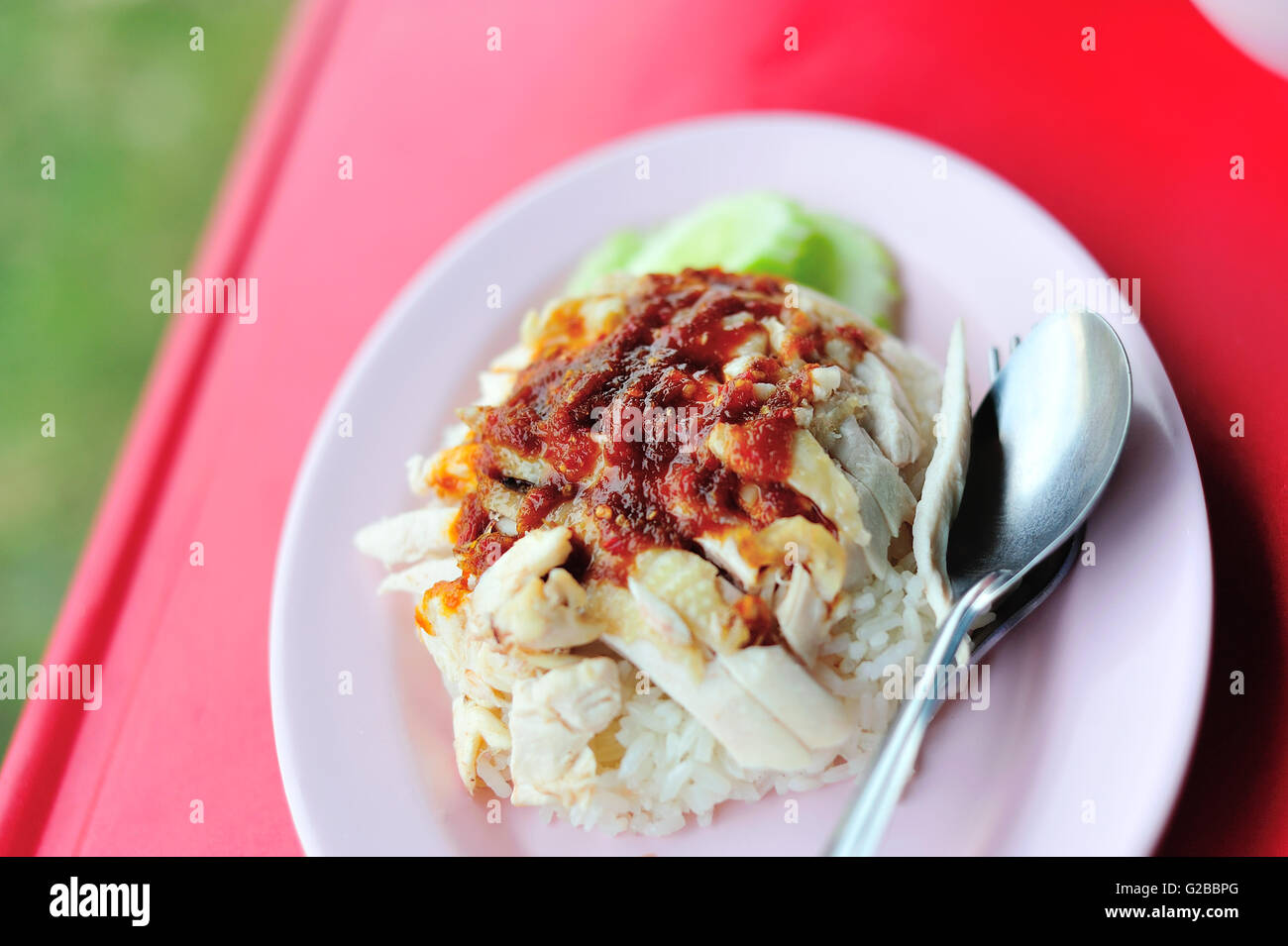 Chicken and rice thai food in soft light Stock Photo - Alamy