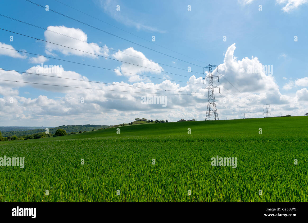 Power lines nature hi-res stock photography and images - Alamy