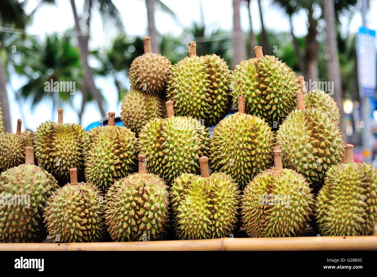 An Durian nature fruit in southeast asia Stock Photo - Alamy