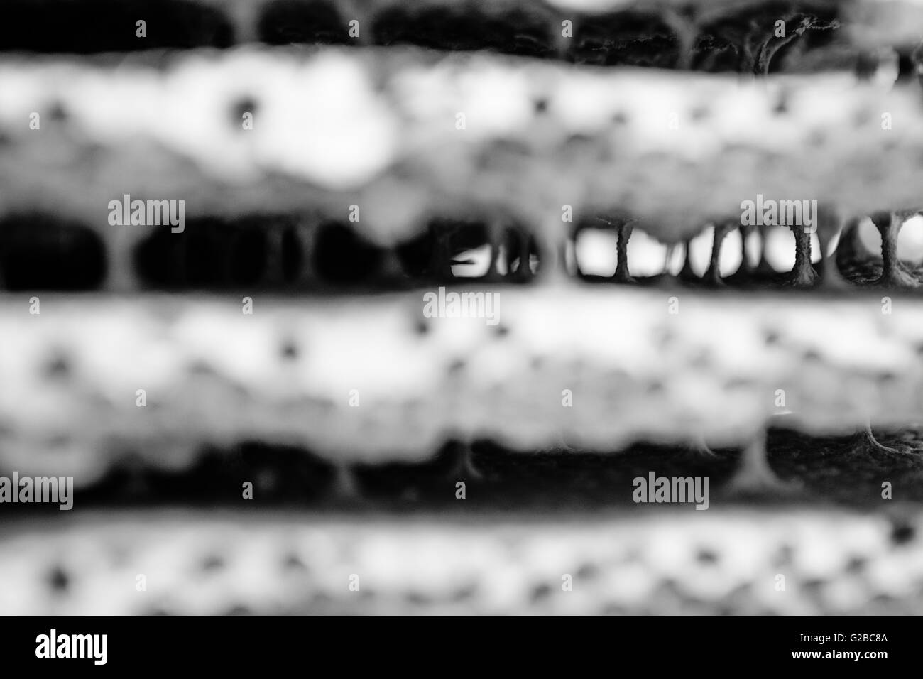 Close up image of the internal structure of a wasps nest Stock Photo ...