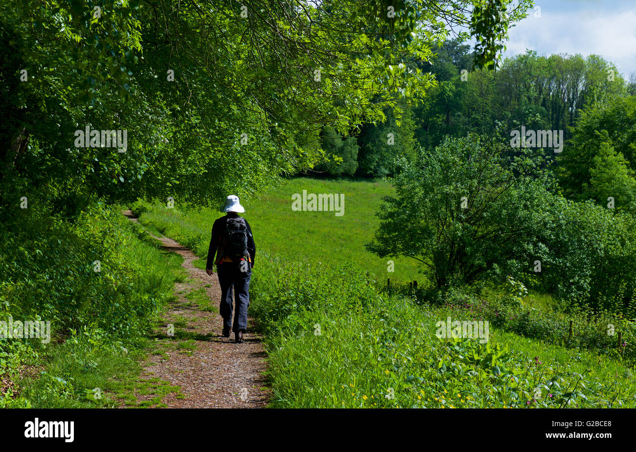 Lythe village hi-res stock photography and images - Alamy