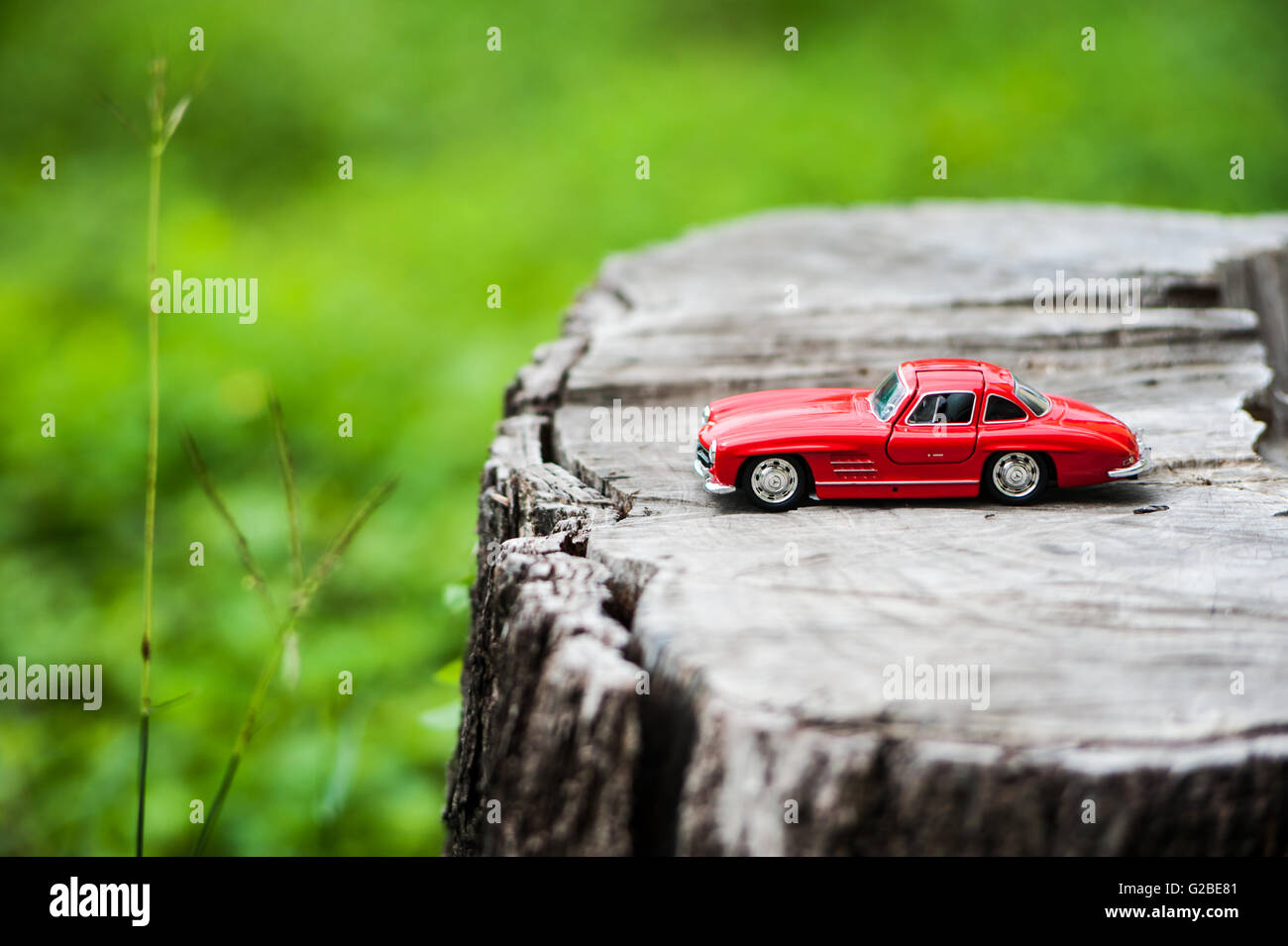 An Sport car model in nature place Stock Photo - Alamy