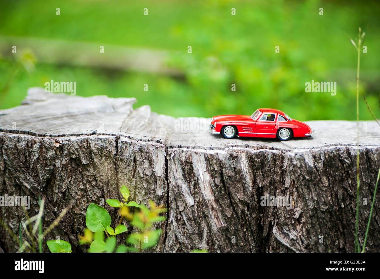 An Sport car model in nature place Stock Photo - Alamy