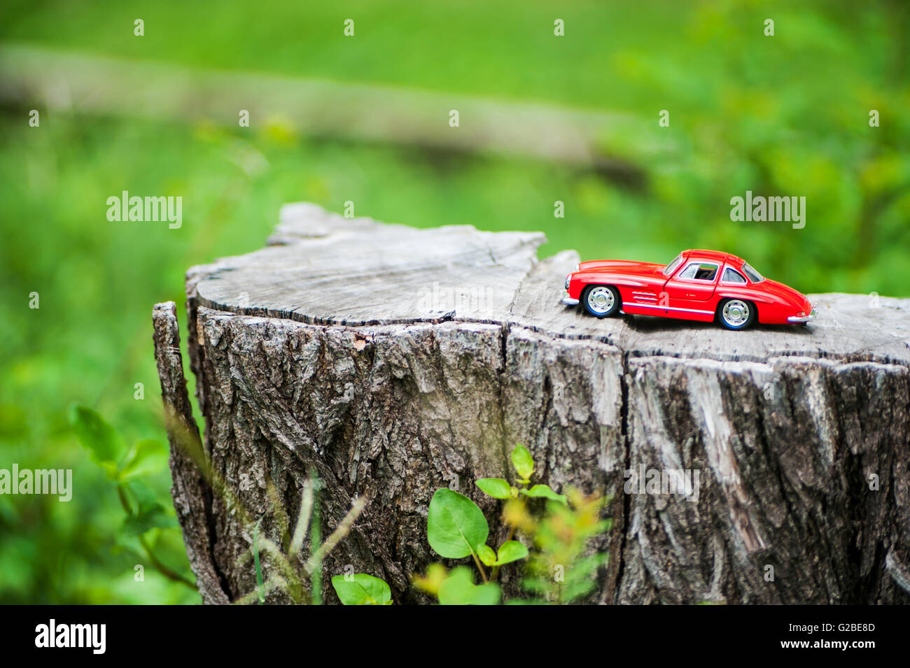 An Sport car model in nature place Stock Photo - Alamy