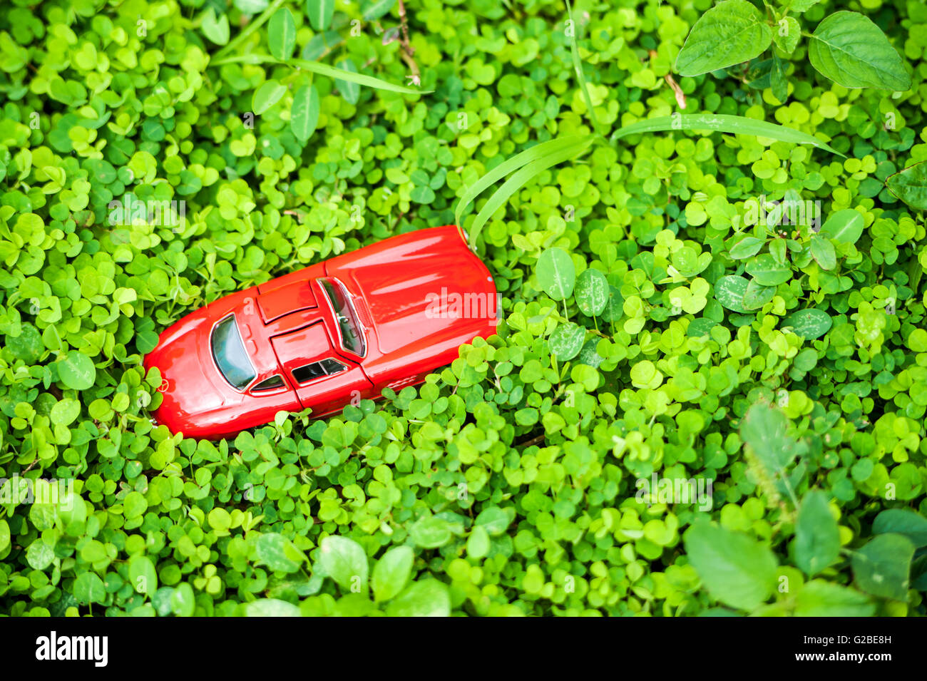 An Sport car model in nature place Stock Photo - Alamy