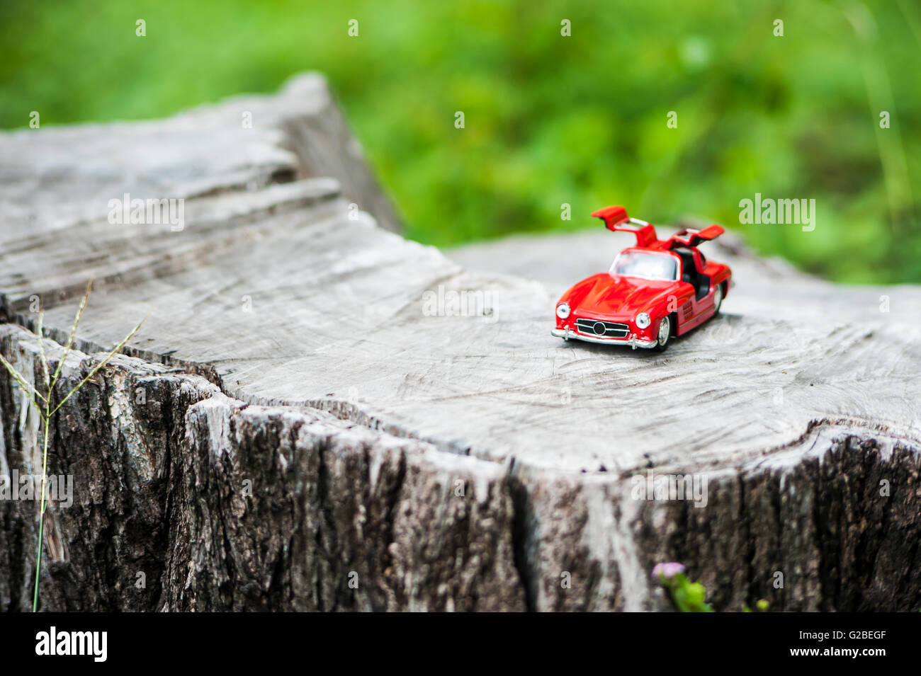 An Sport car model in nature place Stock Photo - Alamy