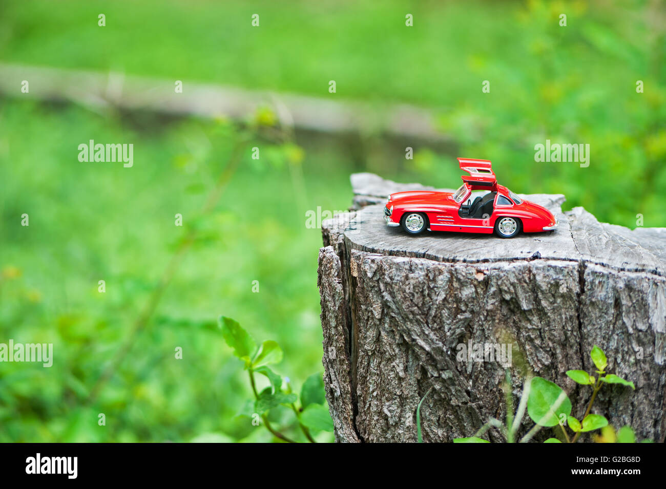 An Sport car model in nature place Stock Photo - Alamy