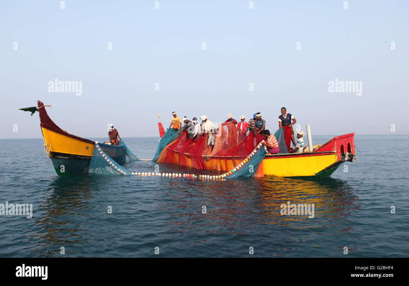 Local fishermen bringing in the nets onto their boat, Varkala, Kerala ...