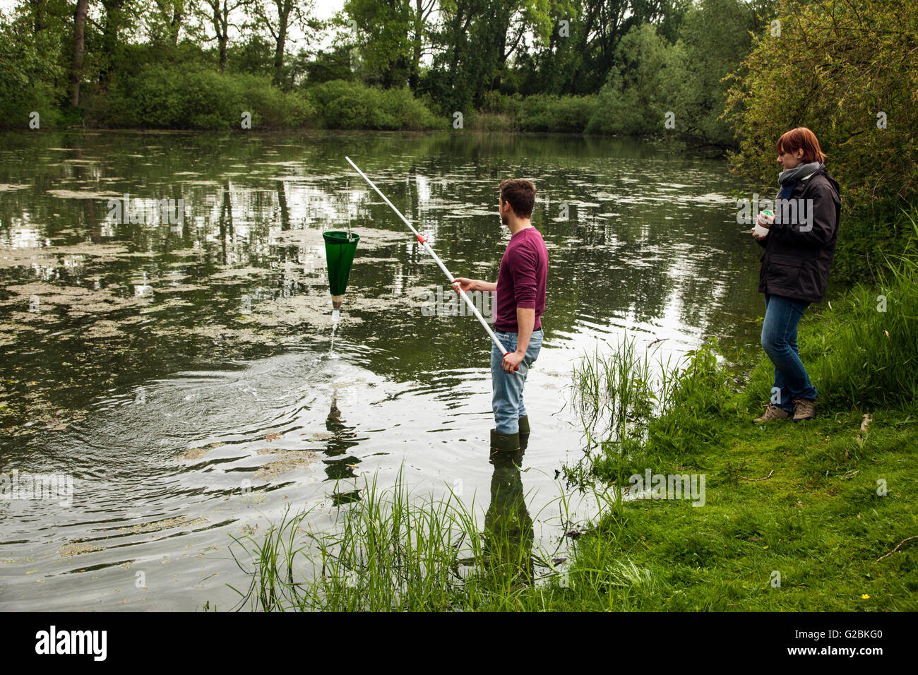 Biologists take water samples of a overgrown pond Stock Photo - Alamy