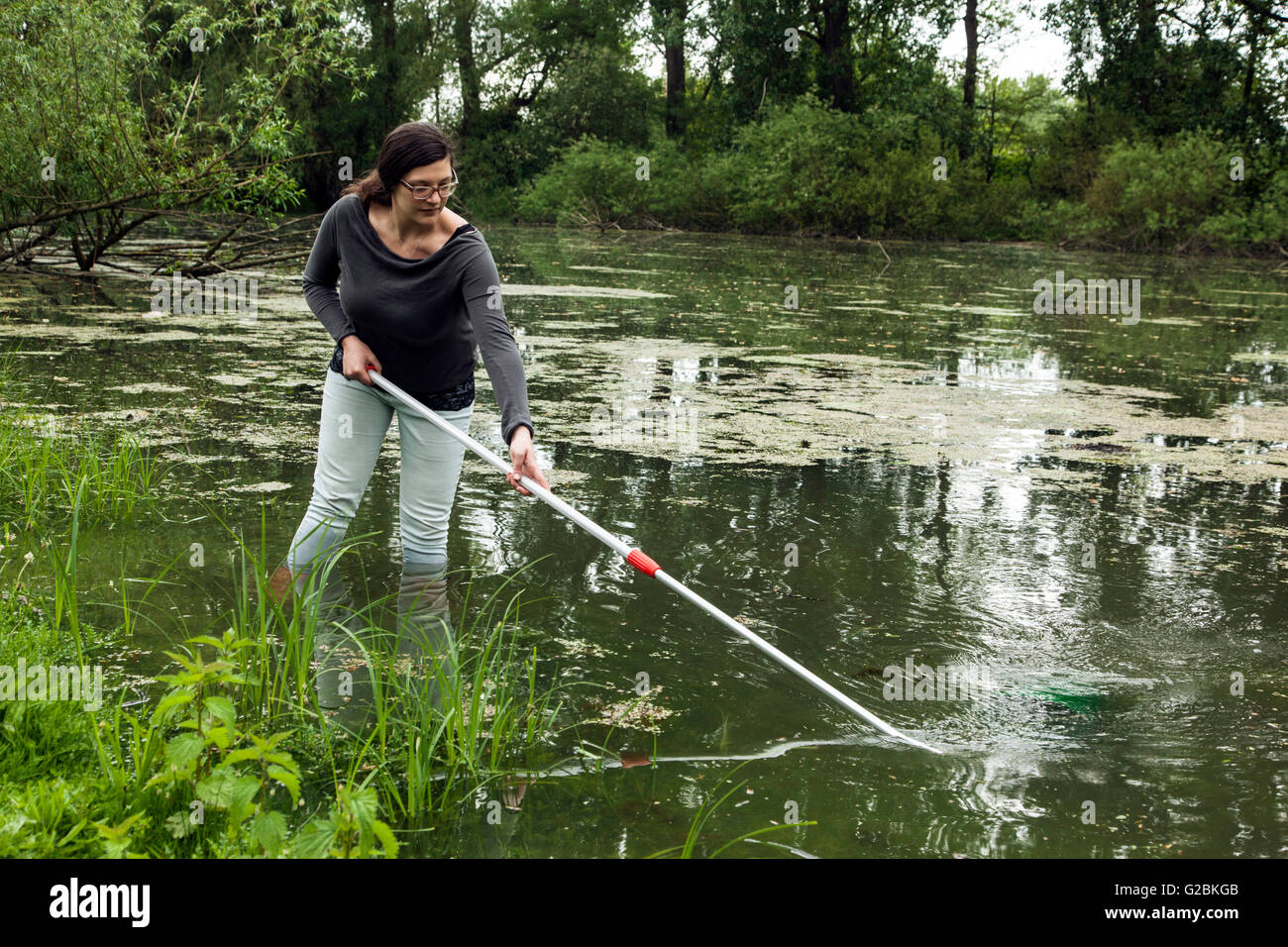 Biologists takes a water sample in an overgrown pond Stock Photo - Alamy