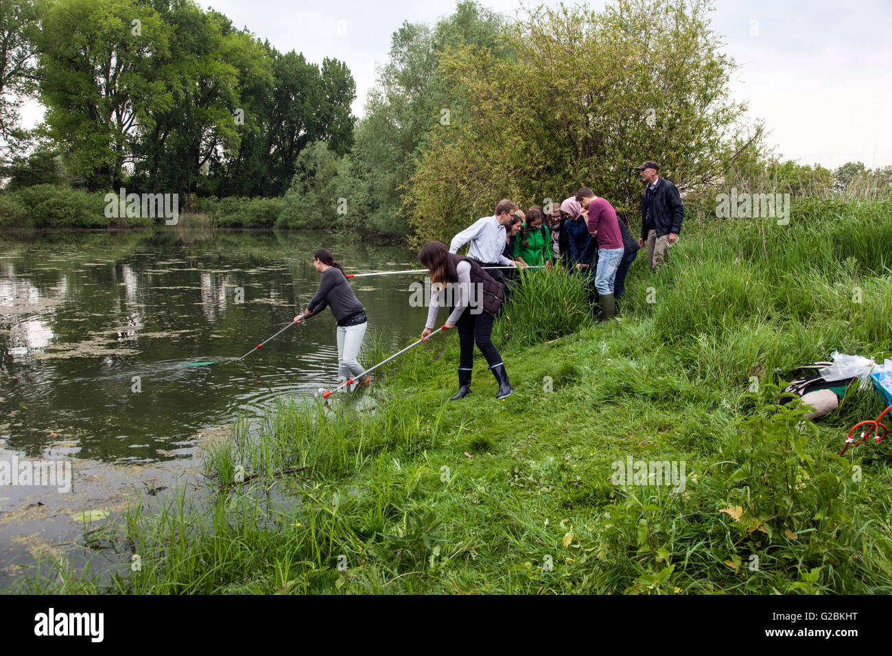 Biologists takes a water sample in an overgrown pond Stock Photo - Alamy